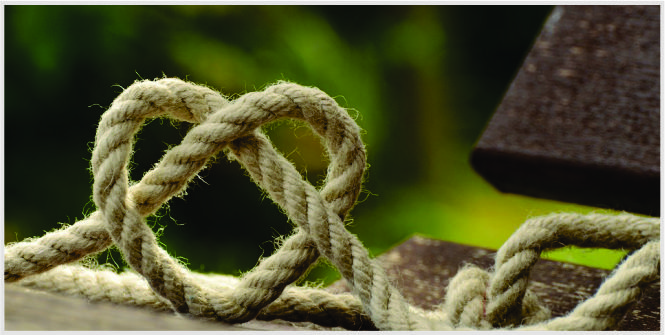 ‘Simpul-Simpul’ ISLAM - Visi Muslim Media