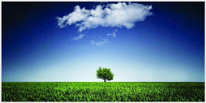 Wakaf ; Definisi dan Penjelasannya - Visi Muslim Media